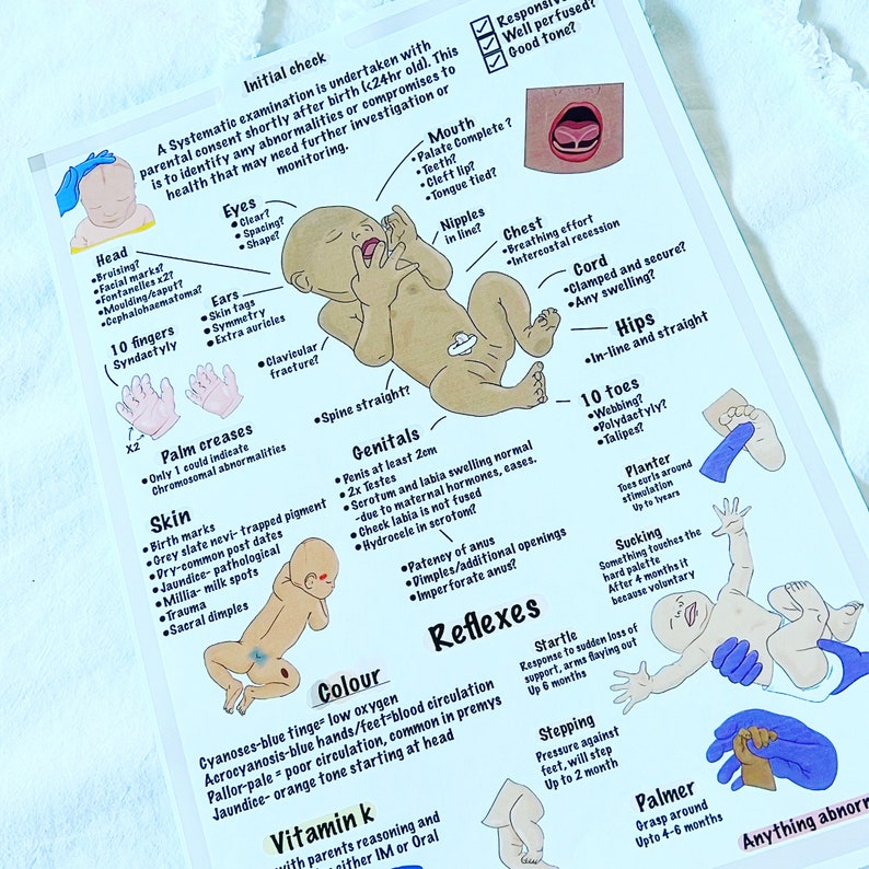 Initial Check Downloadable Pdf Midwifery Revision Poster - Etsy