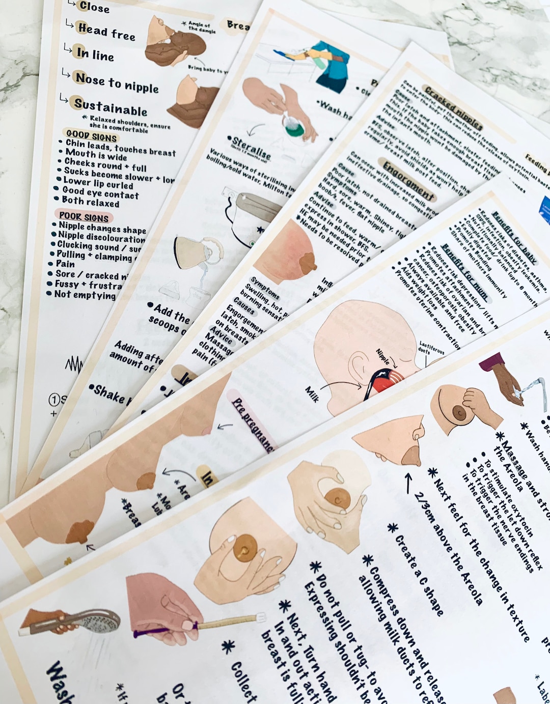 Feeding Bundle X5 Pdf Student Midwife Revision - Etsy Australia