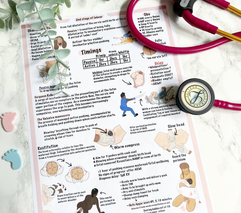 Stages of Labour Bundle X5 Downloadable Pdf Revision Midwifery Revision ...