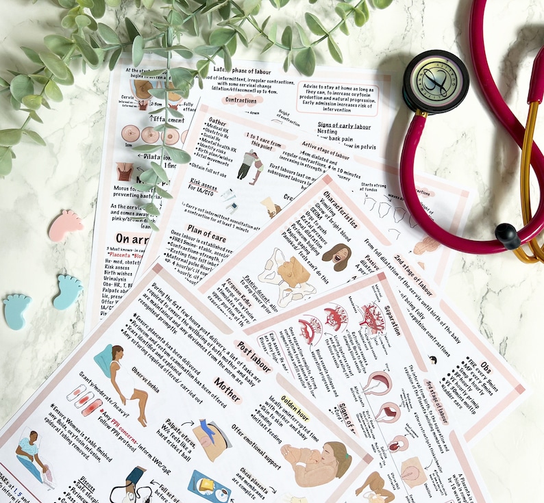 Stages of Labour Bundle X5 Downloadable Pdf Revision Midwifery Revision ...