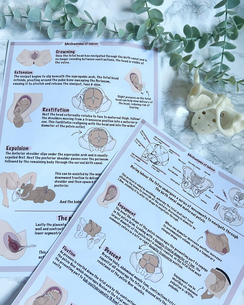 Mechanisms of Labour Downloadable Pdf Midwifery Revision Poster - Etsy