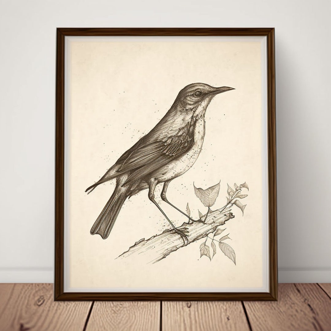 Bird Sketch Print - Vintage Bird Etching - Minimalist Drawing Art ...