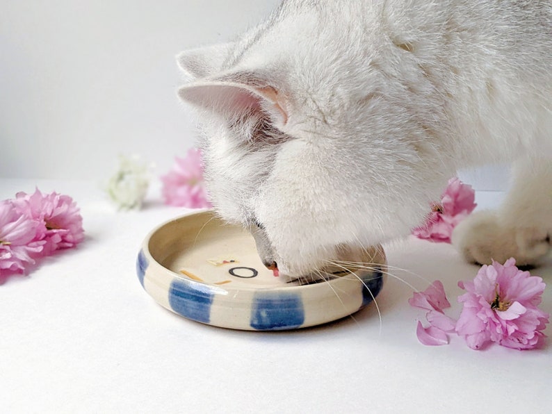 Custom Cute and Cheerful Pet Plate 2 to 3 Designs Handmade - Etsy