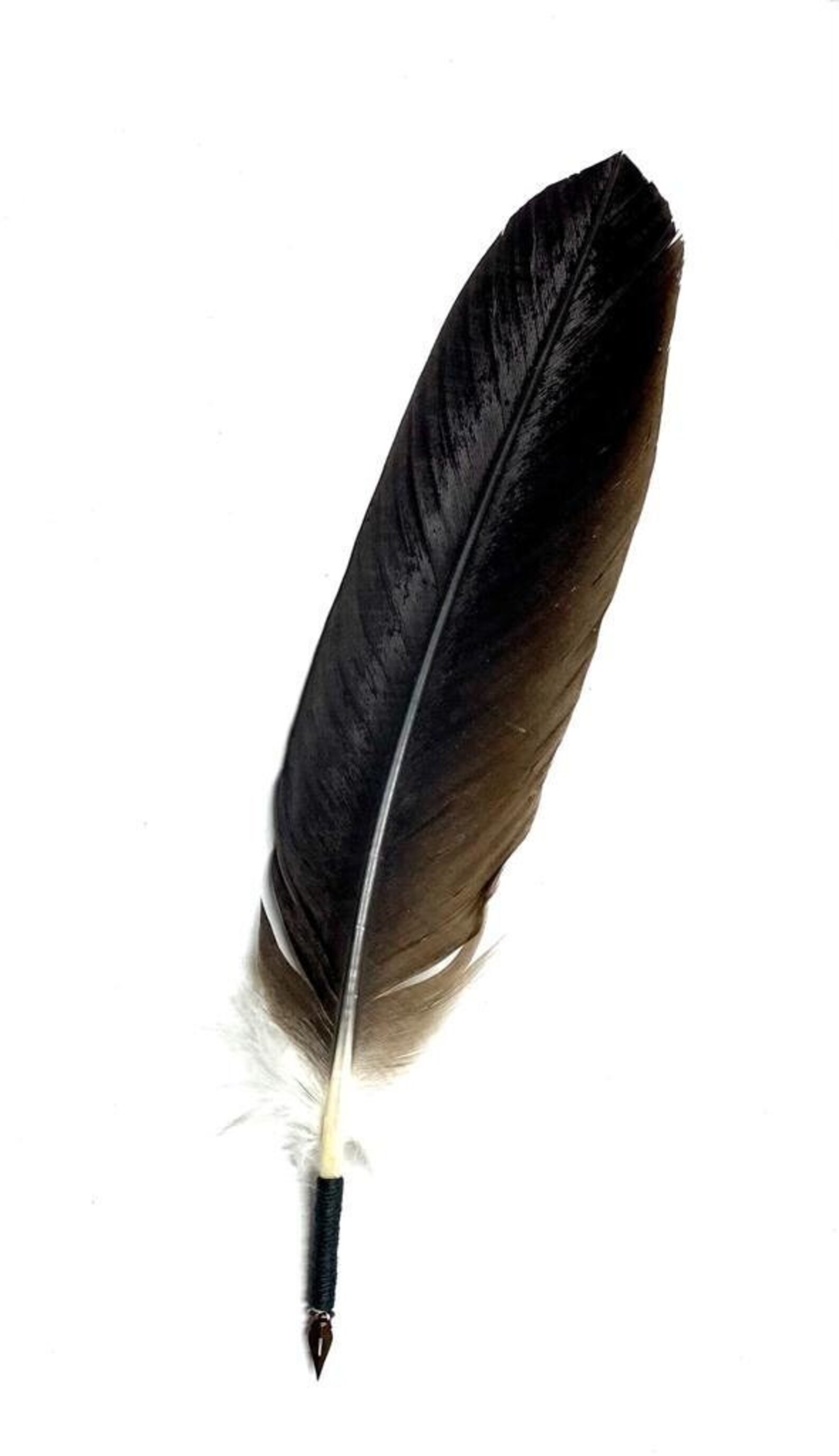 Genuine Feather for Rituals 40cm - Etsy
