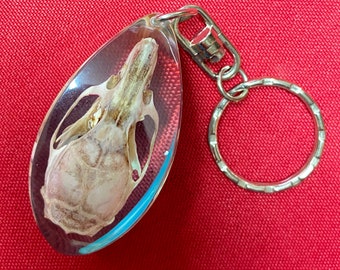 Taxidermy Keychain | Etsy