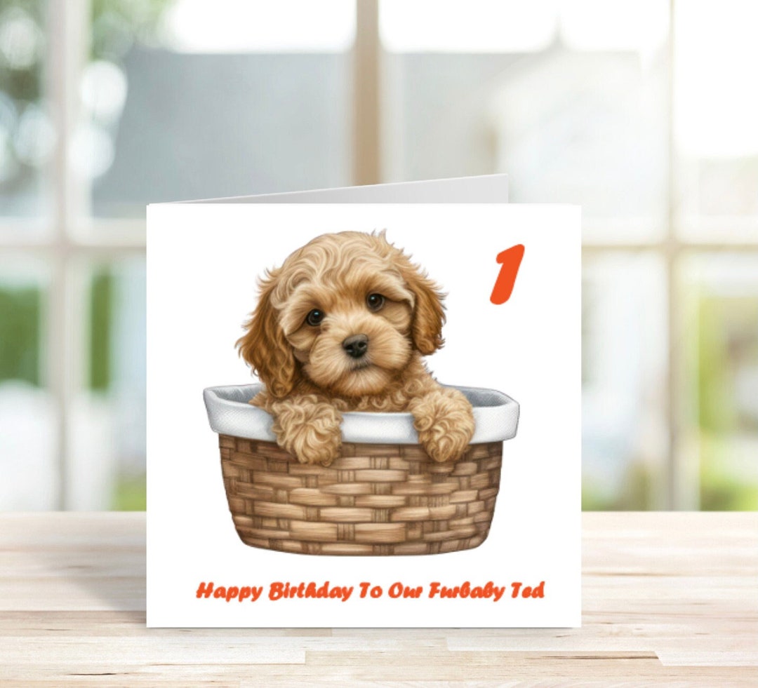 Personalised Birthday Card, Cockapoo/cavapoo Birthday Card, Dog ...