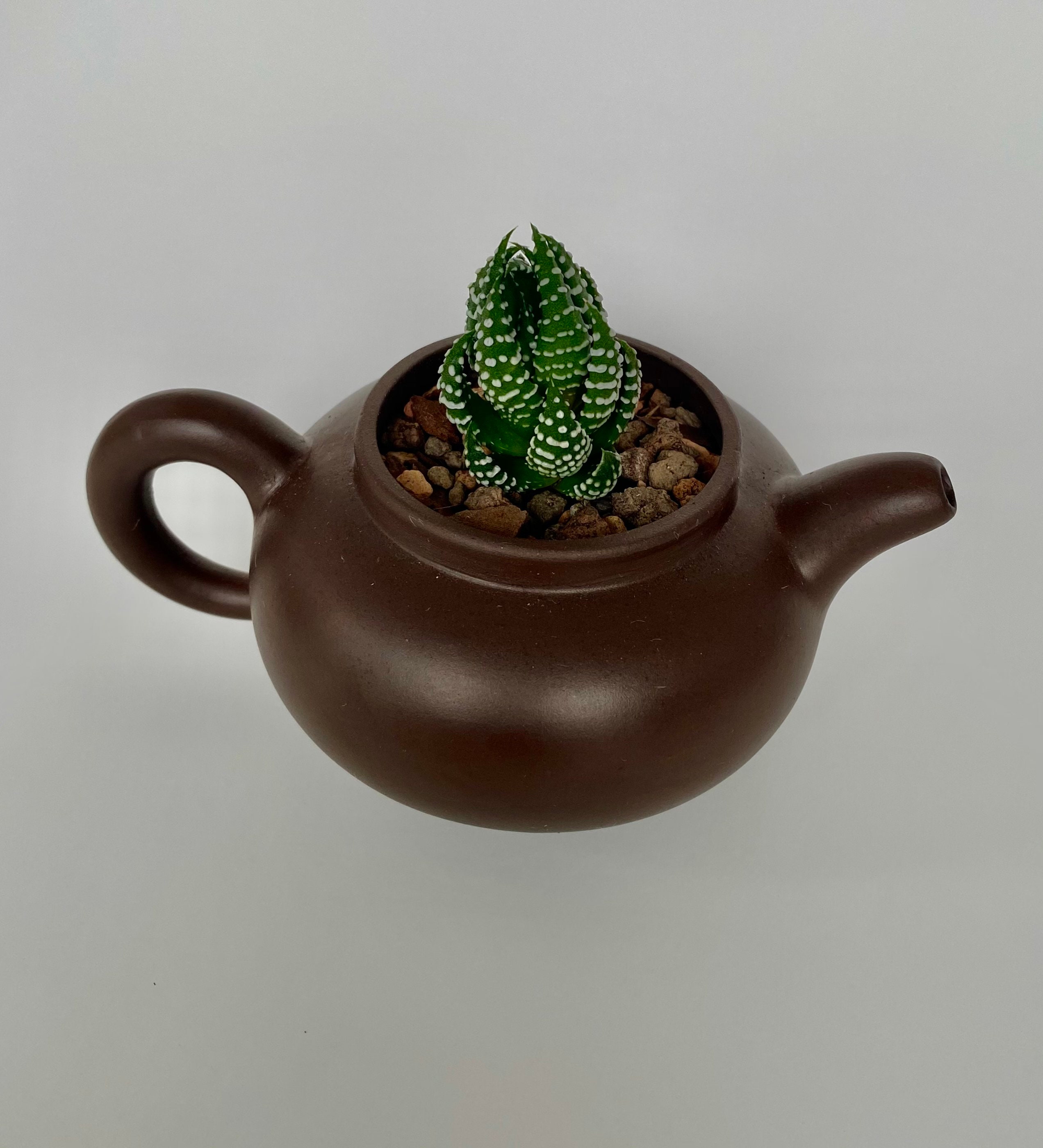 Yixing Purple Clay Ball Teapot Succulent Planter - Etsy