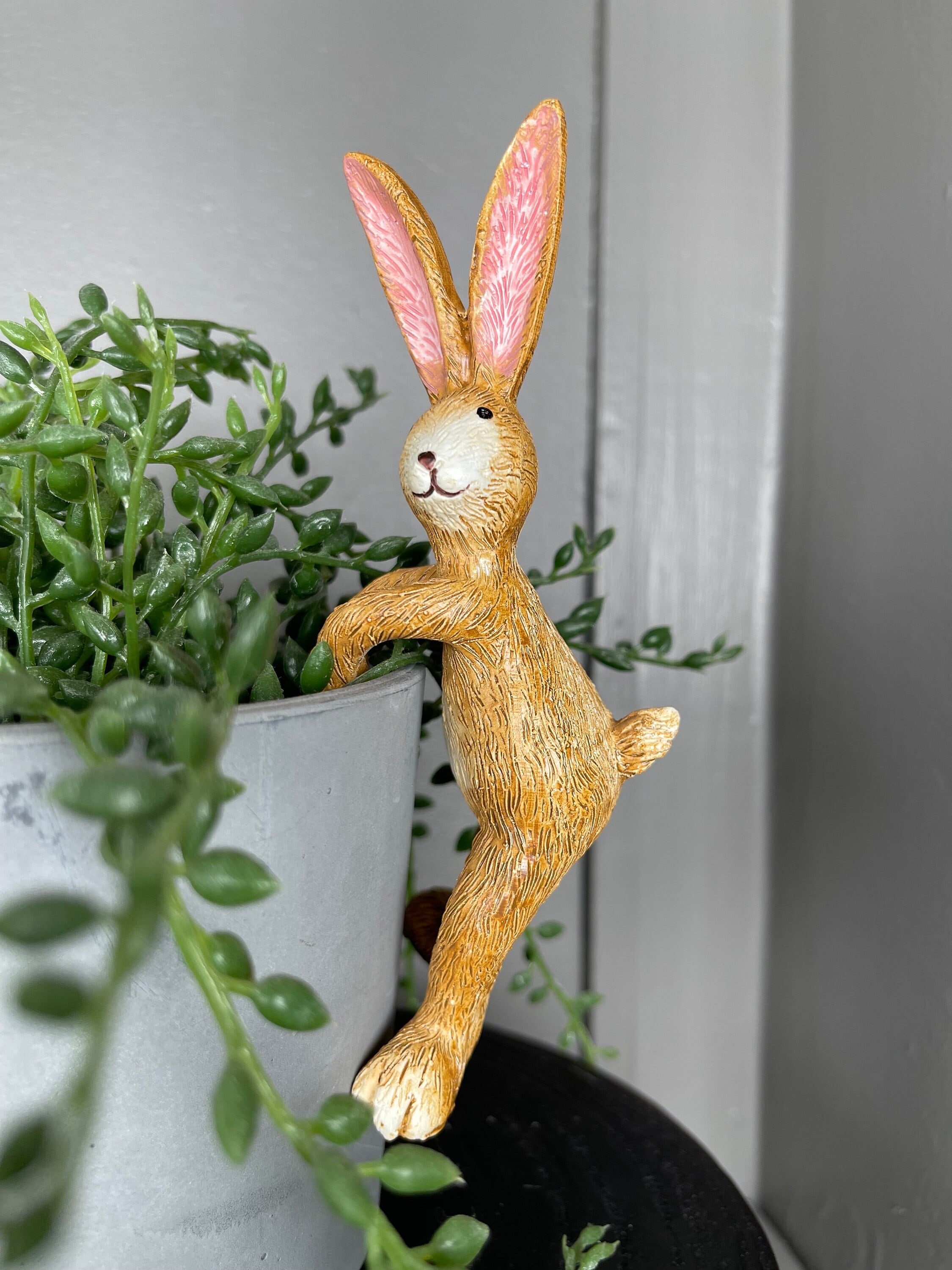 Bunny Collection Highland Rabbit Decorative Home Gift Country Farmhouse ...