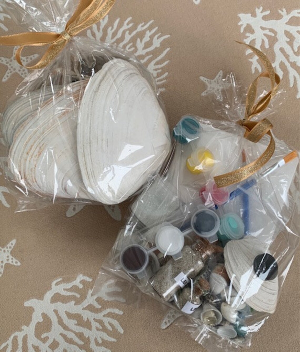 Seashell Painting Kit, Craft and Painting Kits, DIY Painting, Kids ...