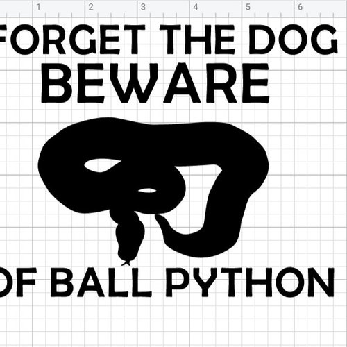 Ball Python Tshirt Ball Python Shirts for Girls Ball Python - Etsy