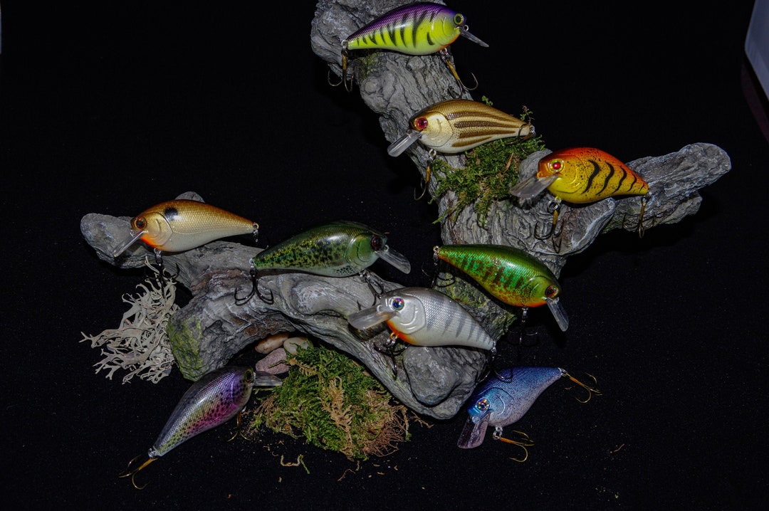 FULLY Custom Hand Painted Fishing Lure - Etsy
