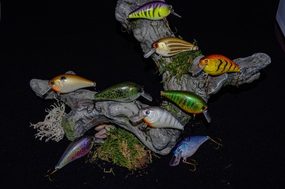 FULLY Custom Hand Painted Fishing Lure | Etsy