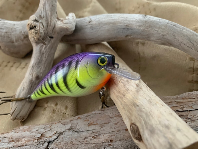 FULLY Custom Hand Painted Fishing Lure - Etsy