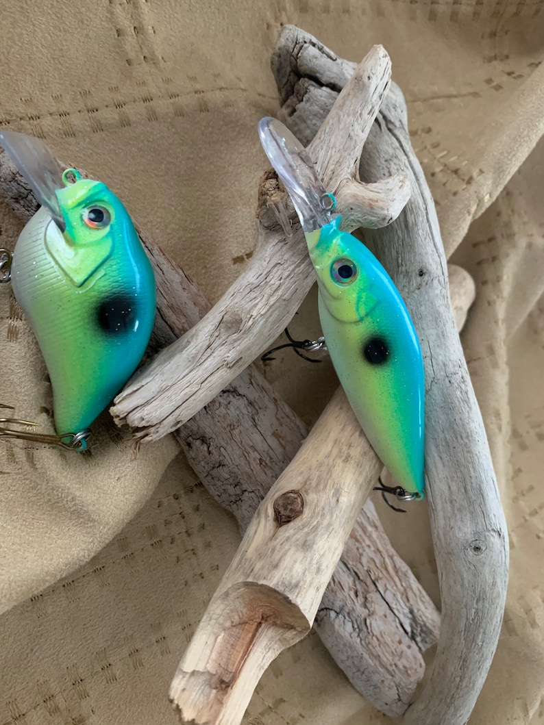 FULLY Custom Hand Painted Fishing Lure - Etsy