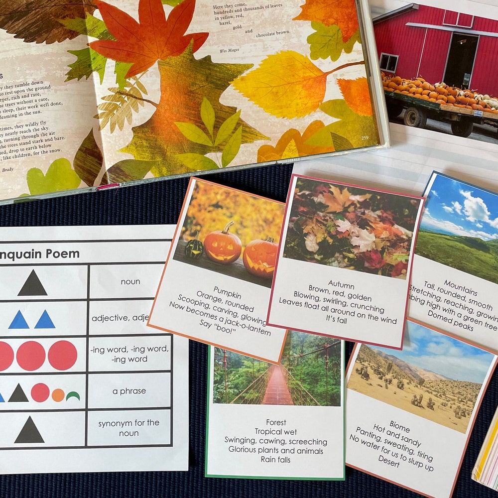 MontessoriInspiredCo - Etsy