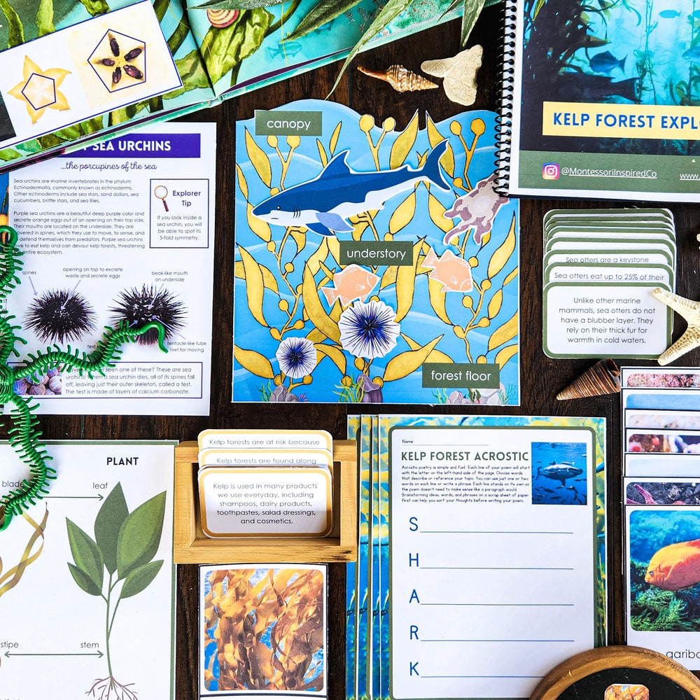 MontessoriInspiredCo - Etsy