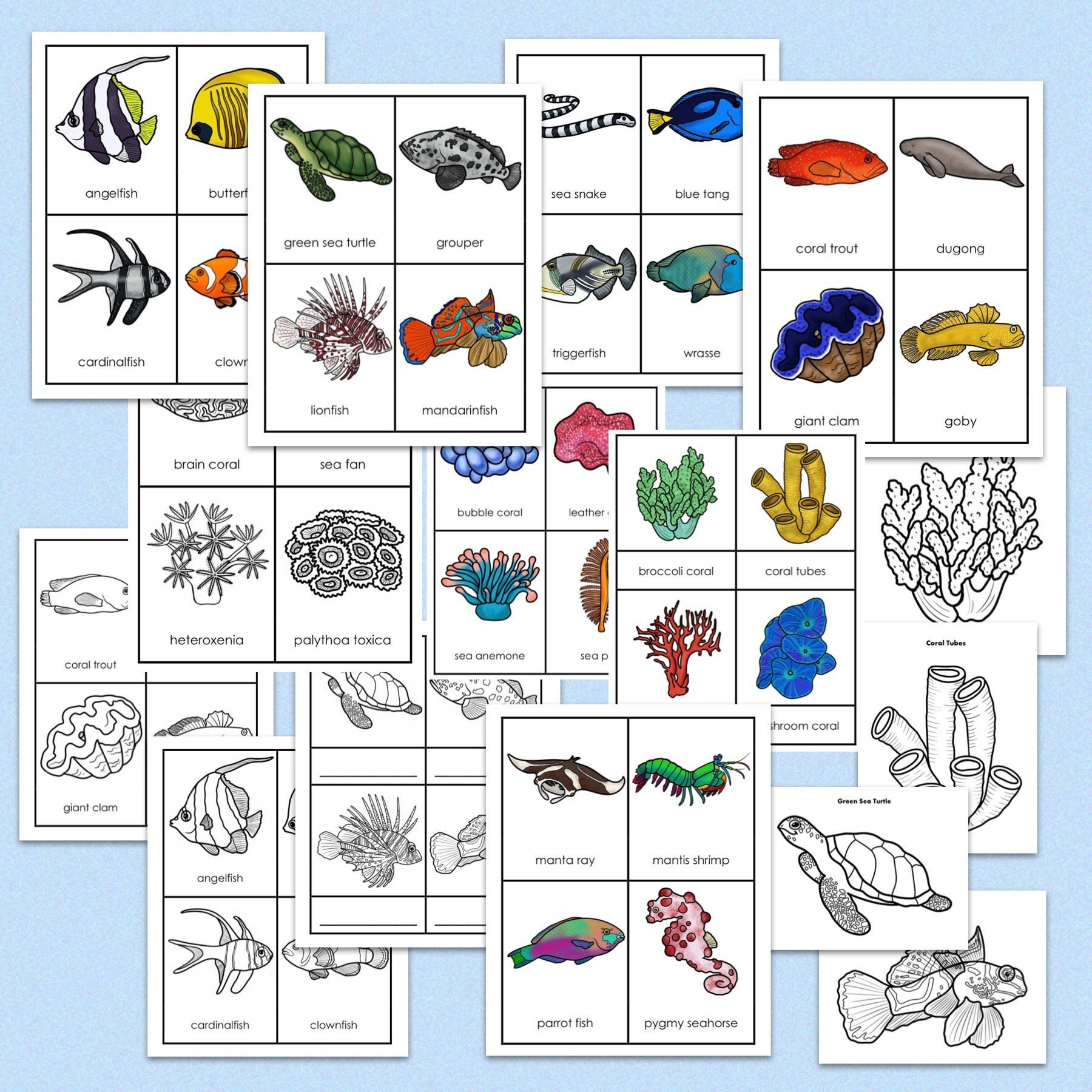 Coral Reef Animals | 3-part Cards and Booklets | Coloring Pages ...