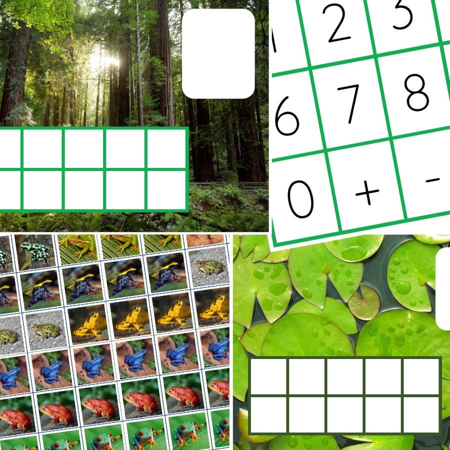 Frogs Activity Pack | Montessori | Amphibians | Zoology - Etsy