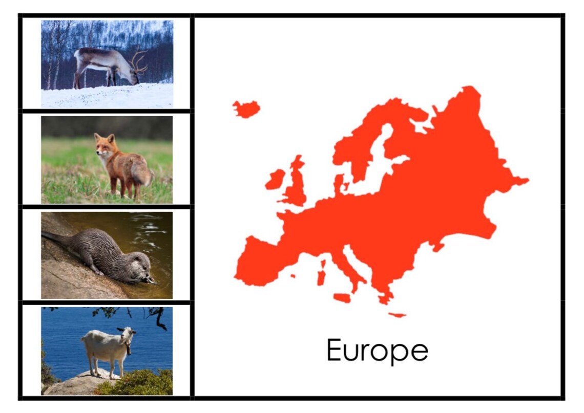 FRENCH VERSION Animals of the Continents Mats Montessori Geography ...