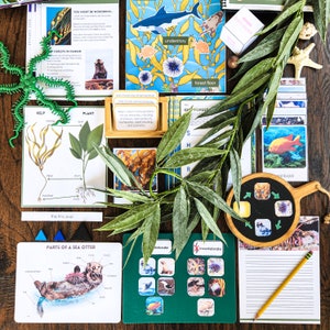 Kelp Forest Explorer Unit Study Montessori Zoology Writing - Etsy