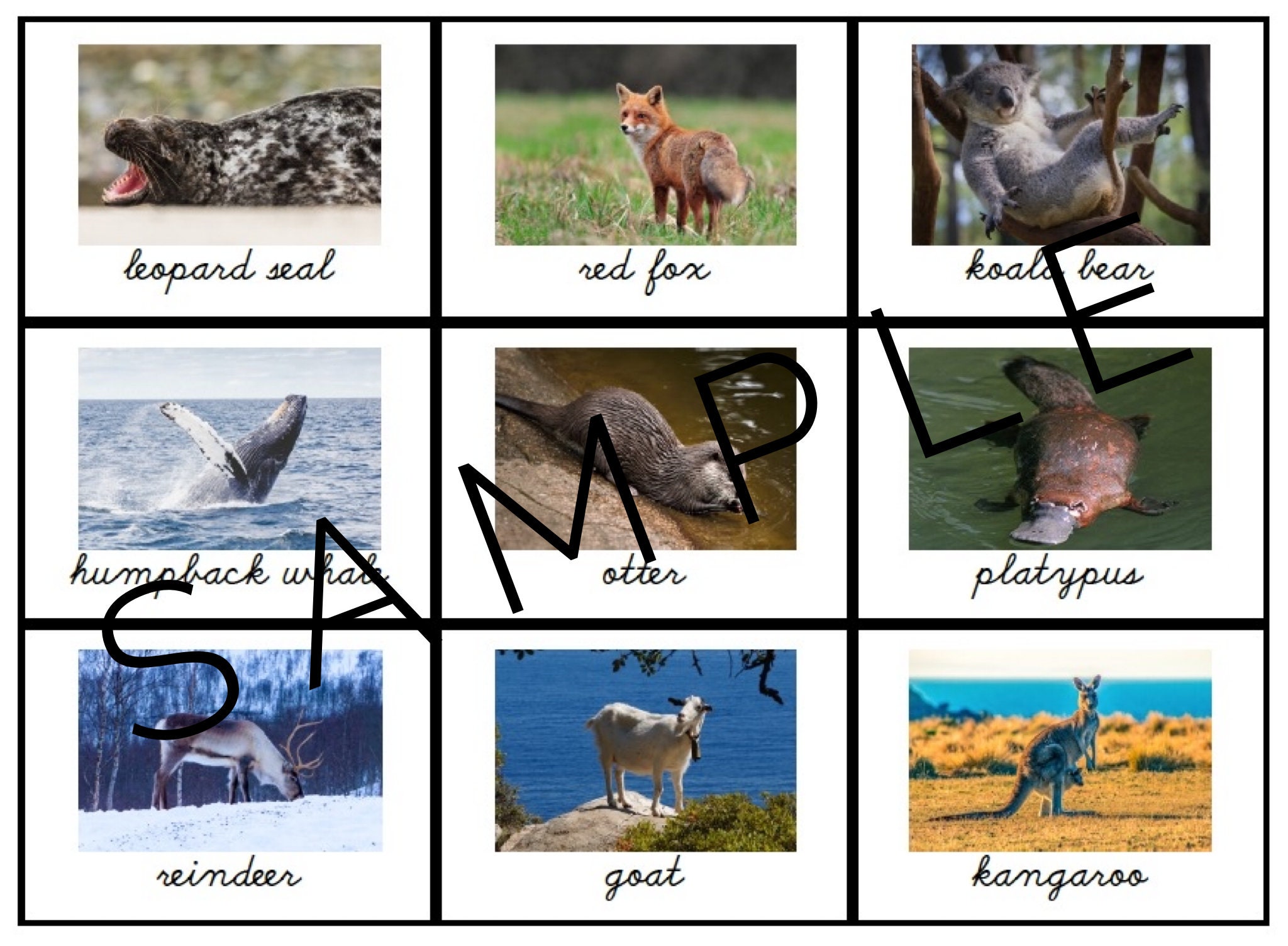 Animals of the World Continent Mats CURSIVE | Montessori Geography ...