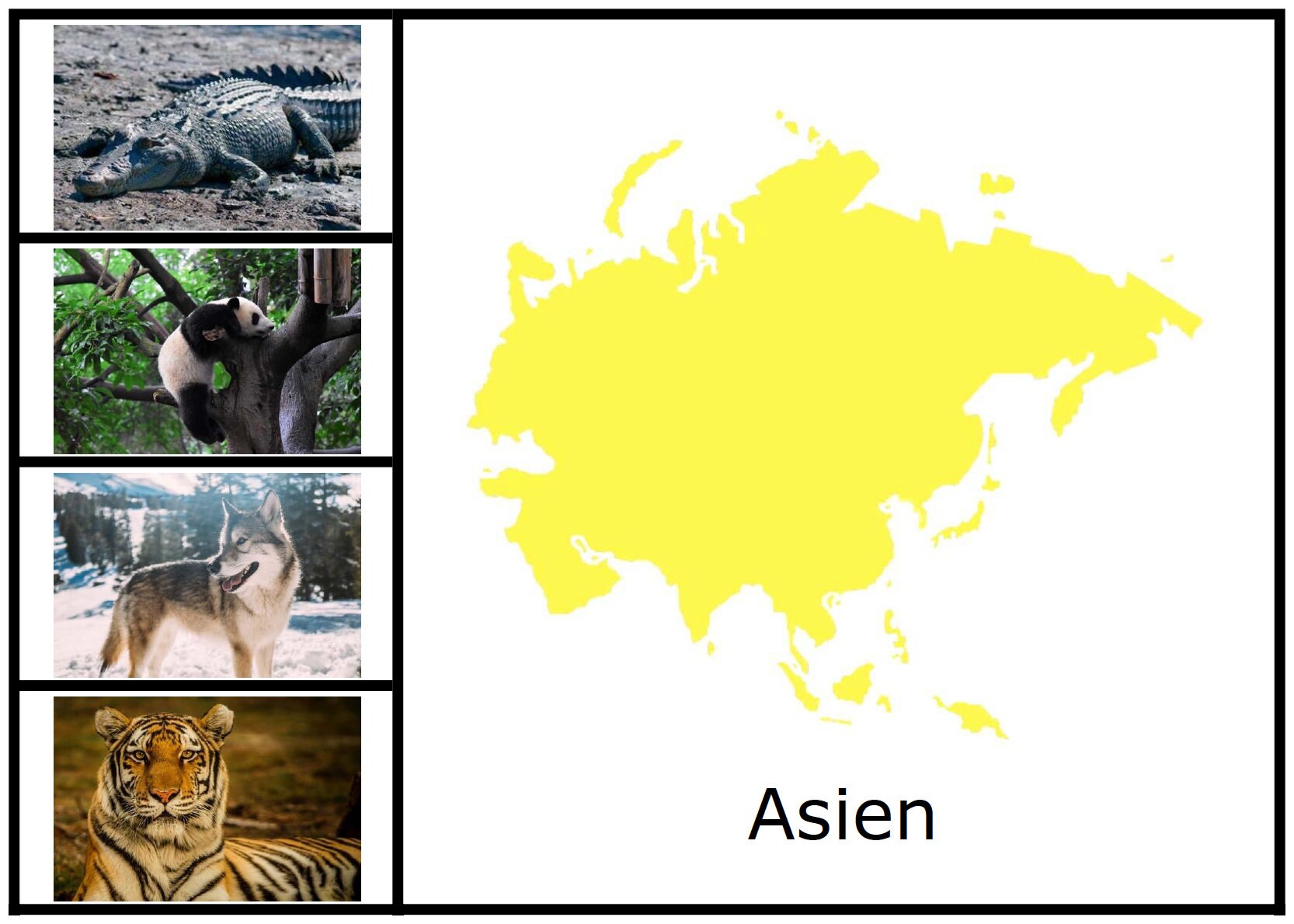 GERMAN VERSION Animals of the Continents Mats Montessori Geography ...