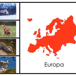 SPANISH VERSION Animals of the Continents Mats | Montessori Geography ...