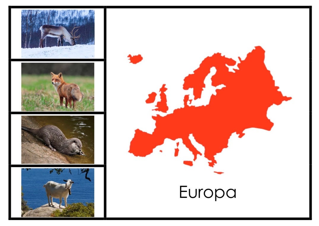 SPANISH VERSION Animals of the Continents Mats | Montessori Geography ...