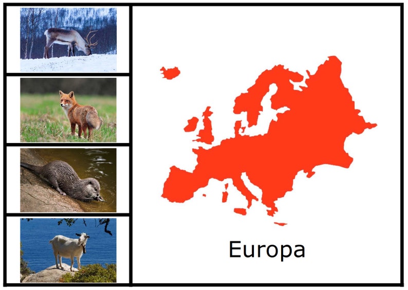 GERMAN VERSION Animals of the Continents Mats | Montessori Geography ...