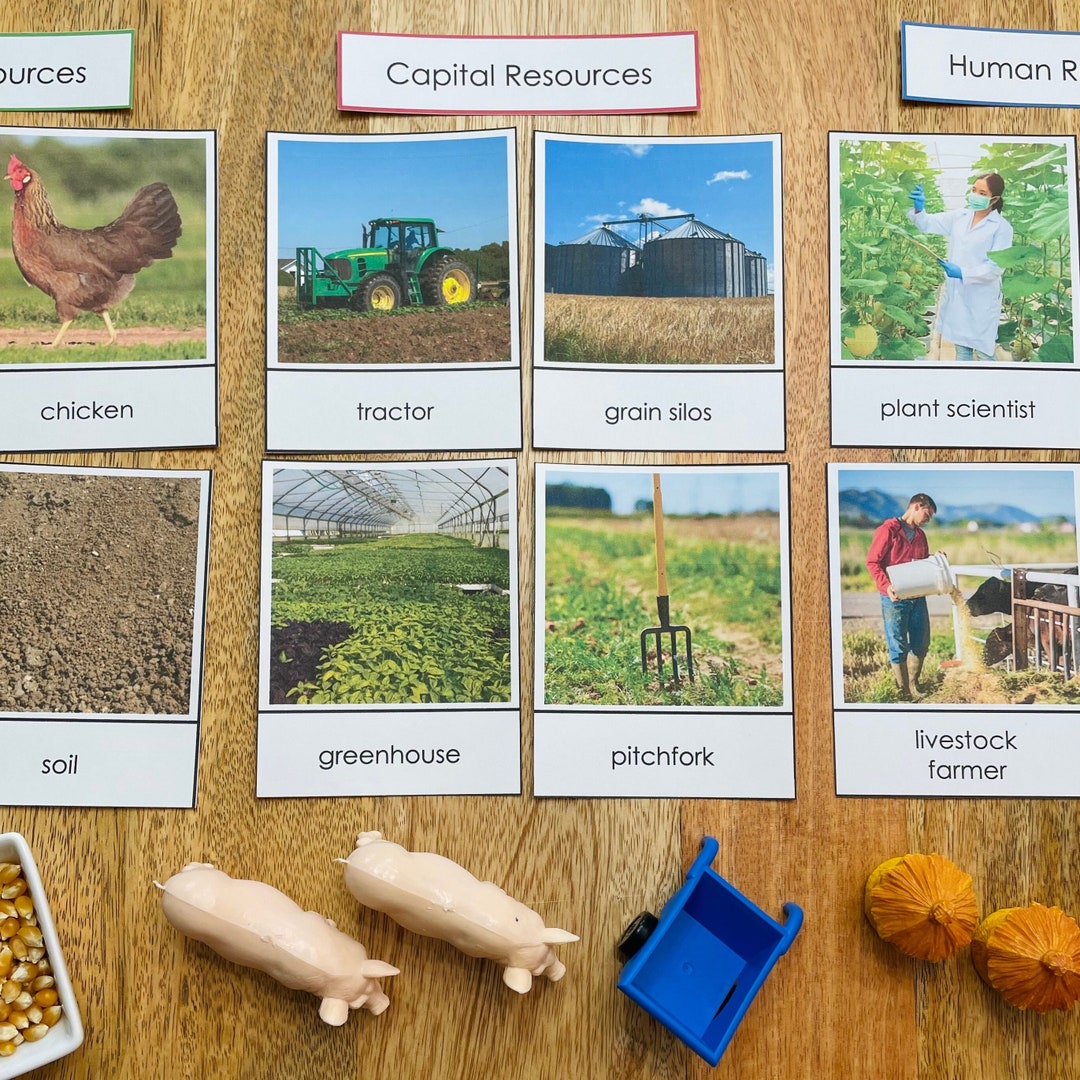 Natural, Human, & Capital Resources on a Farm | Economics | Montessori ...