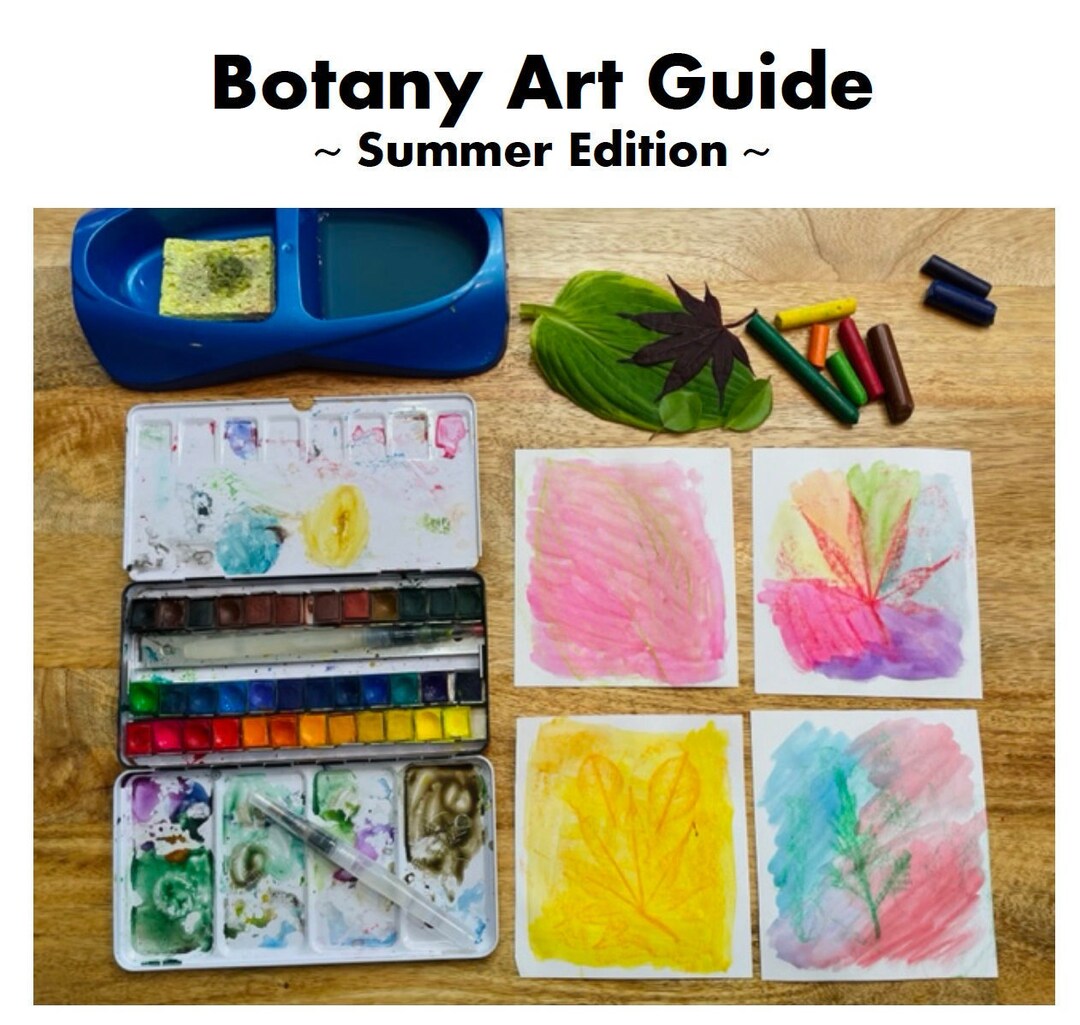 Botany Art Guide Montessori Leaves Summer - Etsy