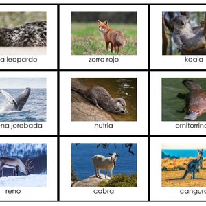 SPANISH VERSION Animals of the Continents Mats | Montessori Geography ...
