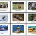 SPANISH VERSION Animals of the Continents Mats | Montessori Geography ...