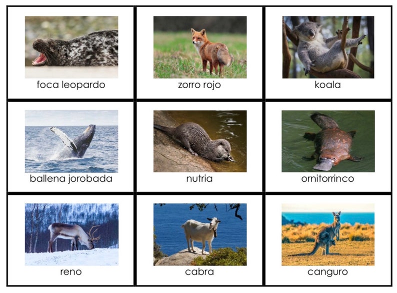 SPANISH VERSION Animals of the Continents Mats | Montessori Geography ...
