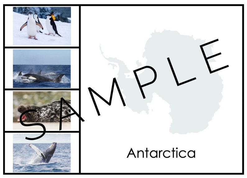 Animals of the World Continent Mats PRINT Montessori | Etsy