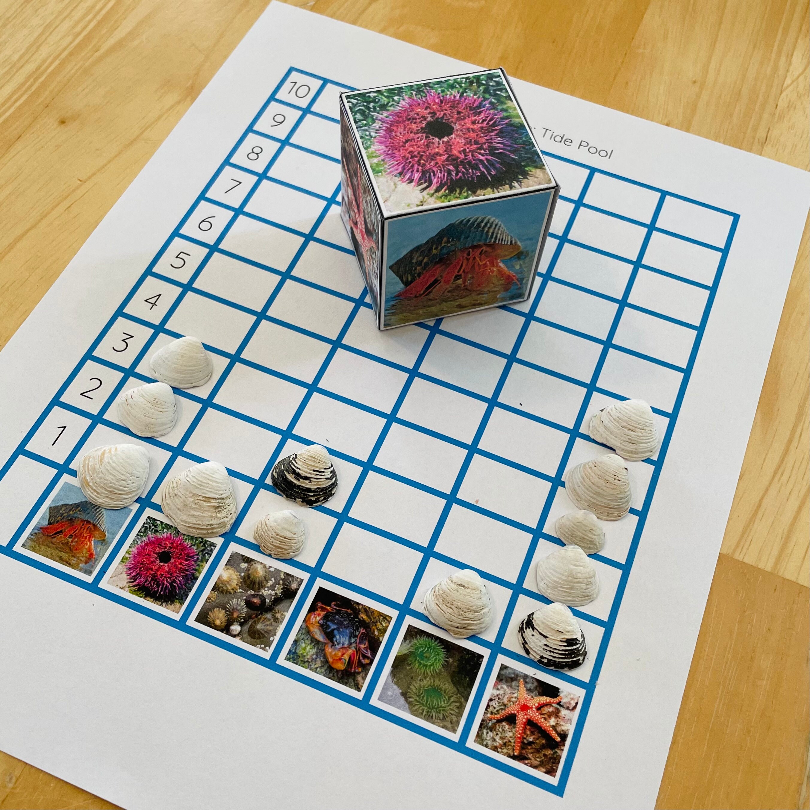 By the Seashore Montessori-inspired Learning Bundle Language - Etsy