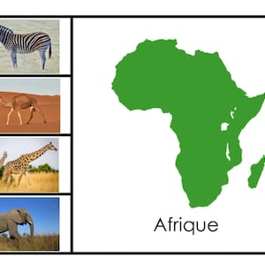 FRENCH VERSION Animals of the Continents Mats | Montessori Geography ...