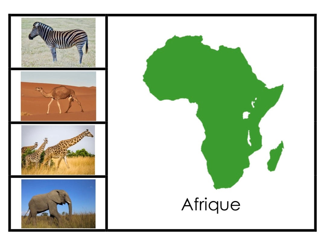 FRENCH VERSION Animals of the Continents Mats | Montessori Geography ...