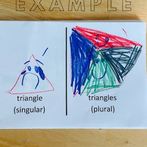 Singular & Plural Nouns Booklet |montessori Inspired Grammar - Etsy