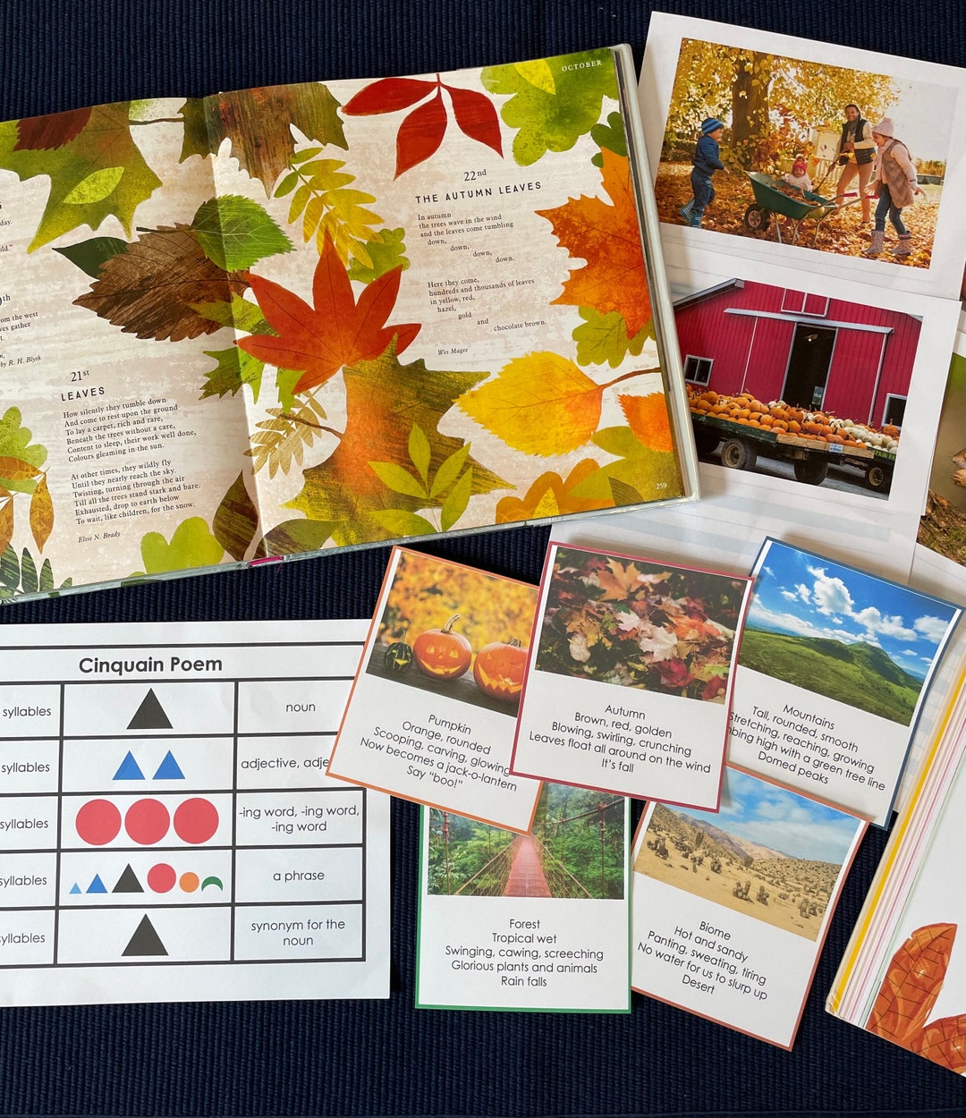 Fall Cinquain Poetry Pack | Montessori Inspired | Poem Writing - Etsy