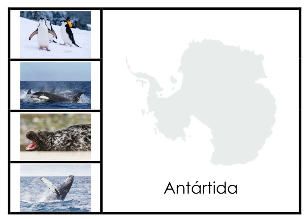 SPANISH VERSION Animals of the Continents Mats | Montessori Geography ...