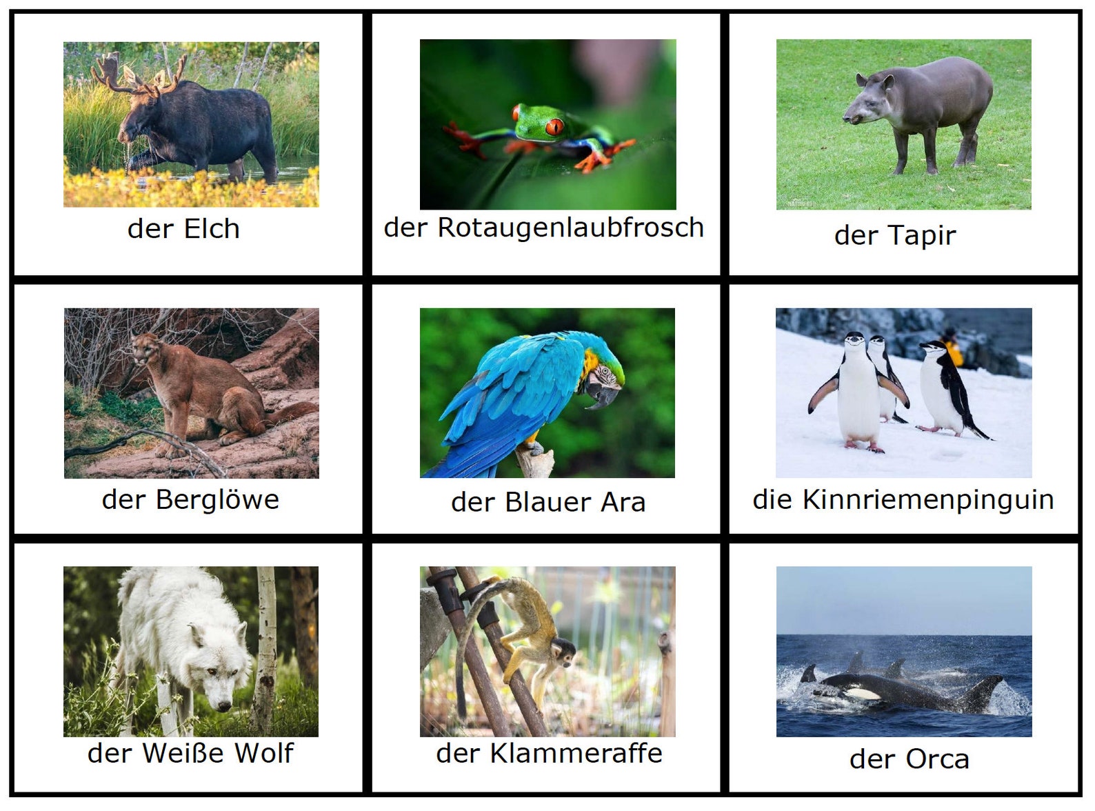 GERMAN VERSION Animals of the Continents Mats Montessori Geography ...