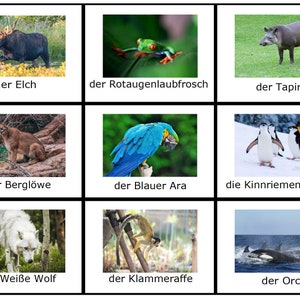 GERMAN VERSION Animals of the Continents Mats | Montessori Geography ...