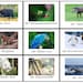 GERMAN VERSION Animals of the Continents Mats | Montessori Geography ...
