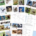Montessori-inspired Mountain Activity Pack | Geography | Biomes - Etsy ...