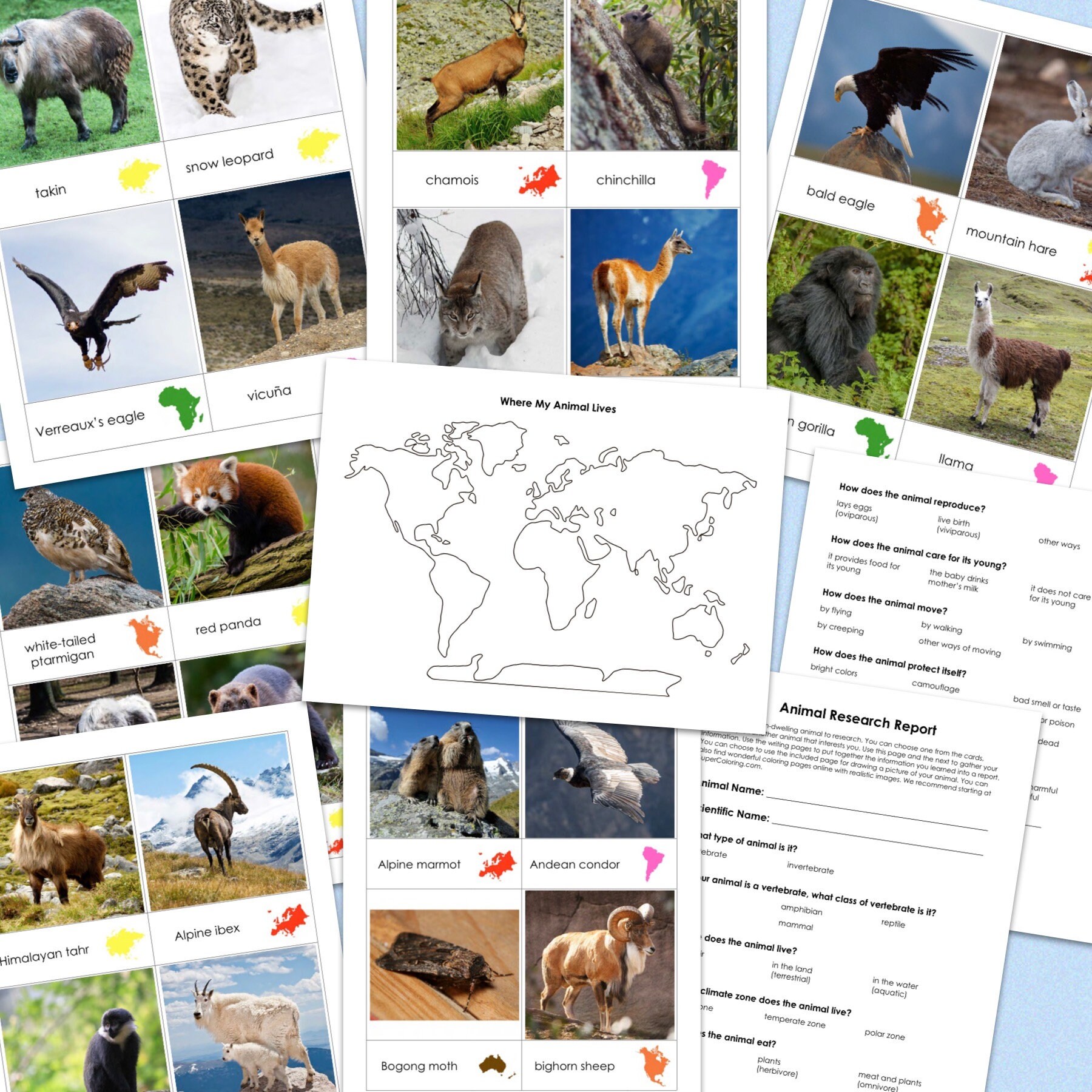 Montessori-inspired Mountain Activity Pack Geography - Etsy Canada