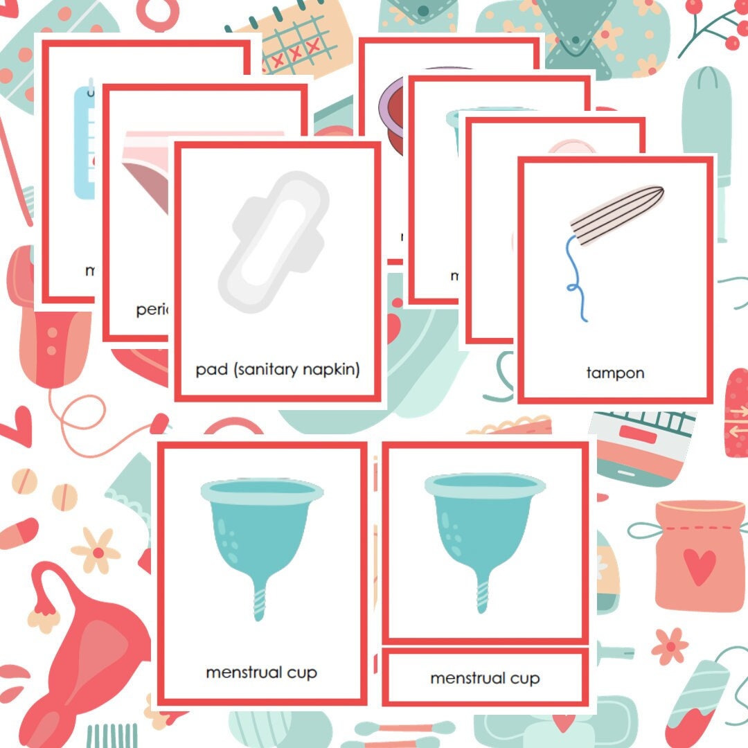 Period Products 3-part Cards | Montessori | Reproductive Anatomy ...