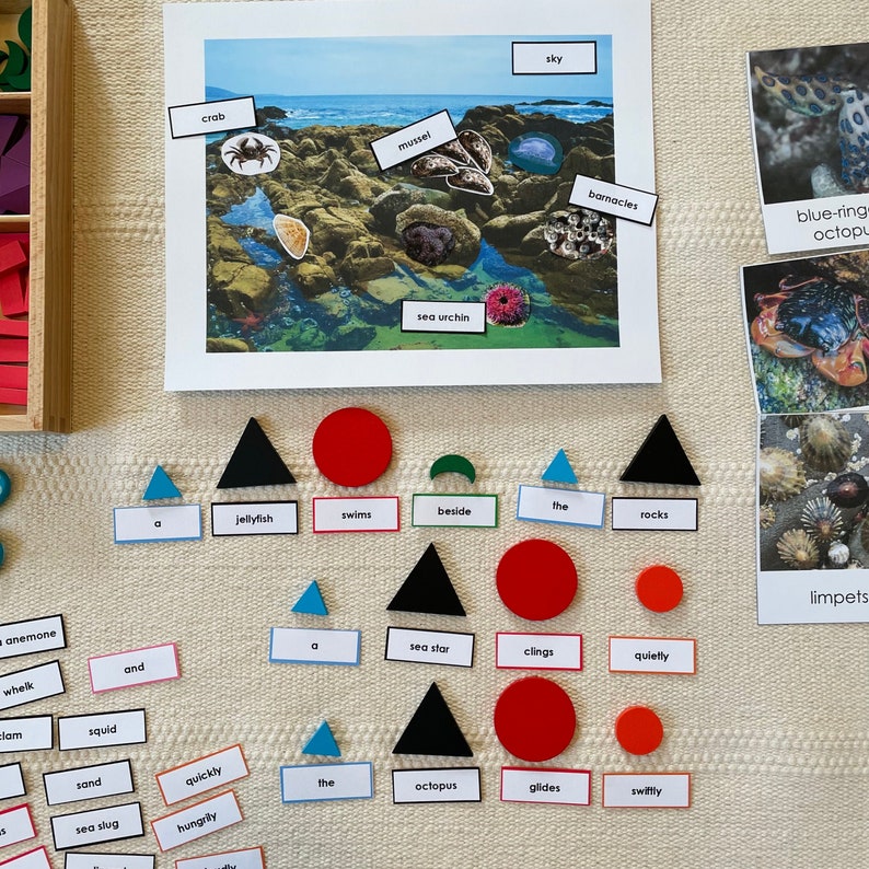 By the Seashore Montessori-inspired Learning Bundle Language - Etsy