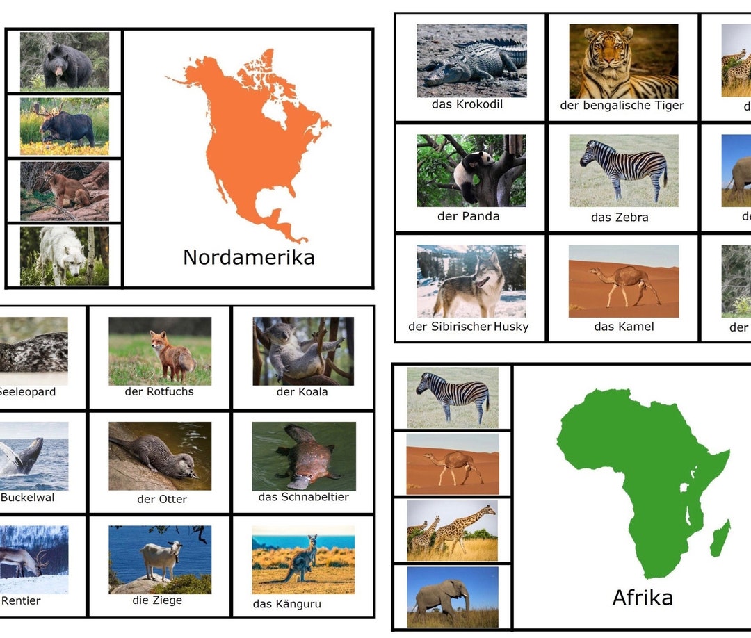 GERMAN VERSION Animals of the Continents Mats | Montessori Geography ...