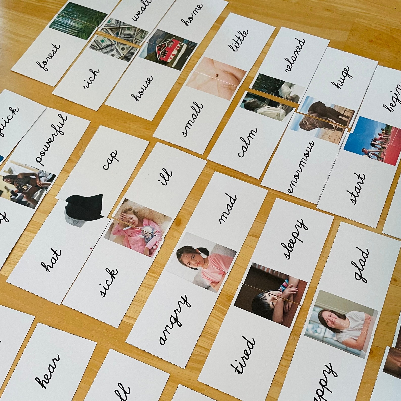 Synonym Picture Puzzles Montessori Language Word Study - Etsy